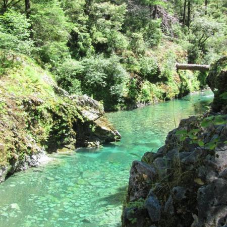 Elk River (Oregon) - Alchetron, The Free Social Encyclopedia